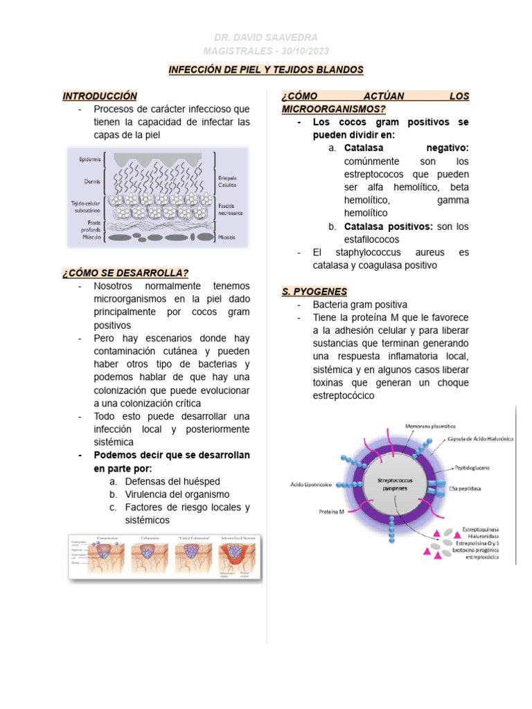 Infección de Piel y Tejidos Blandos | PDF | Staphylococcus Aureus | Enfermedades y trastornos