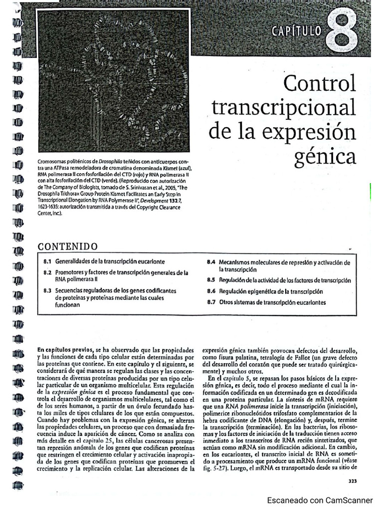 Lodish - Cap 8. Sección 1 y 2 | PDF