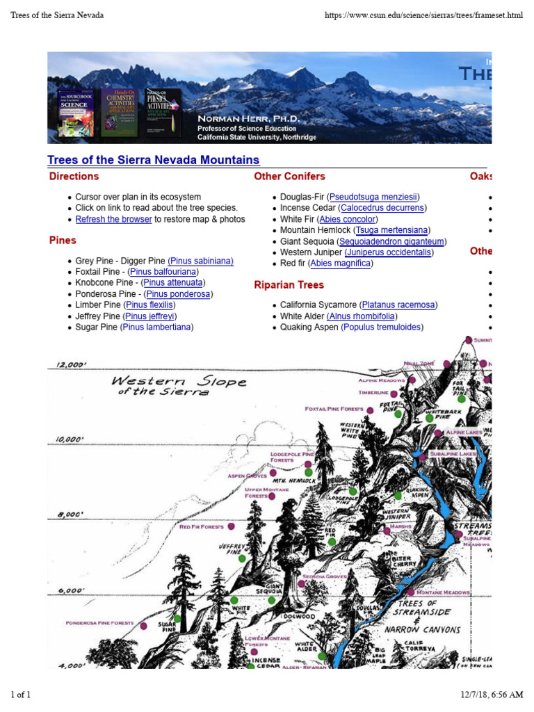 Sierra Nevada Tree Species Guide | PDF