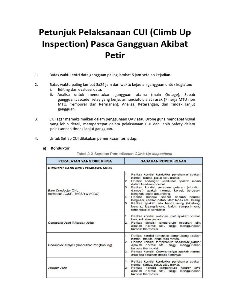 Petunjuk Pelaksanaan CUI | PDF