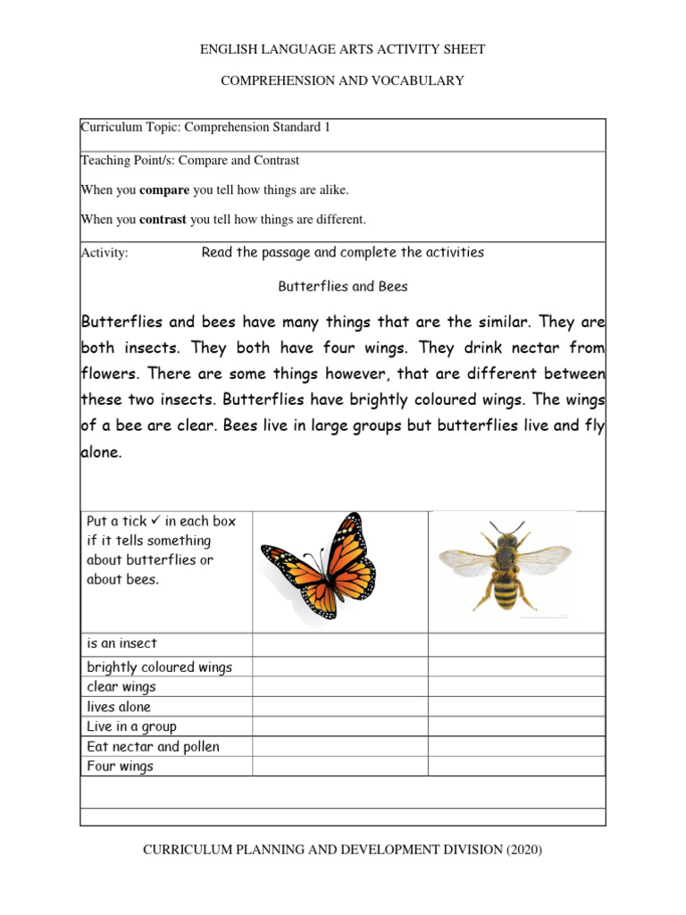 Compare and Contrast: Insects Activity | PDF | Butterfly | Bees