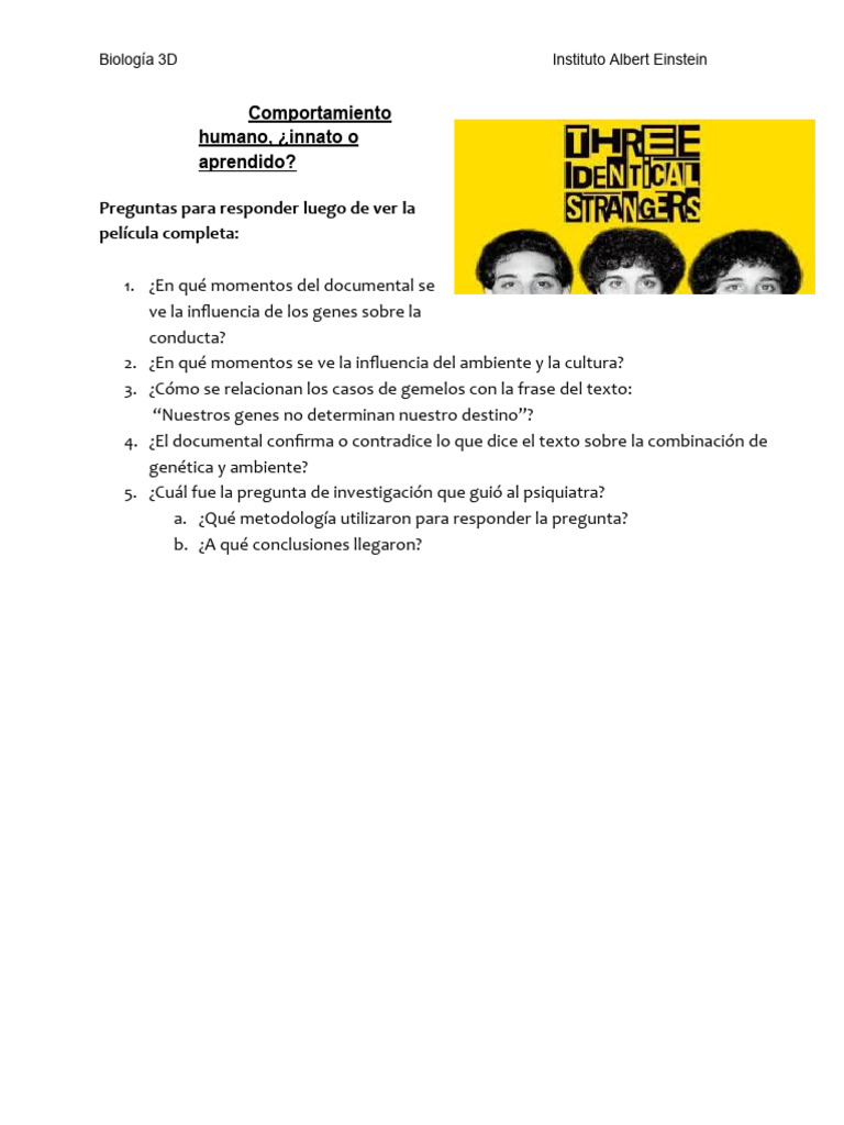 Preguntas para Responder Luego de Ver La Película Completa Vidas ...