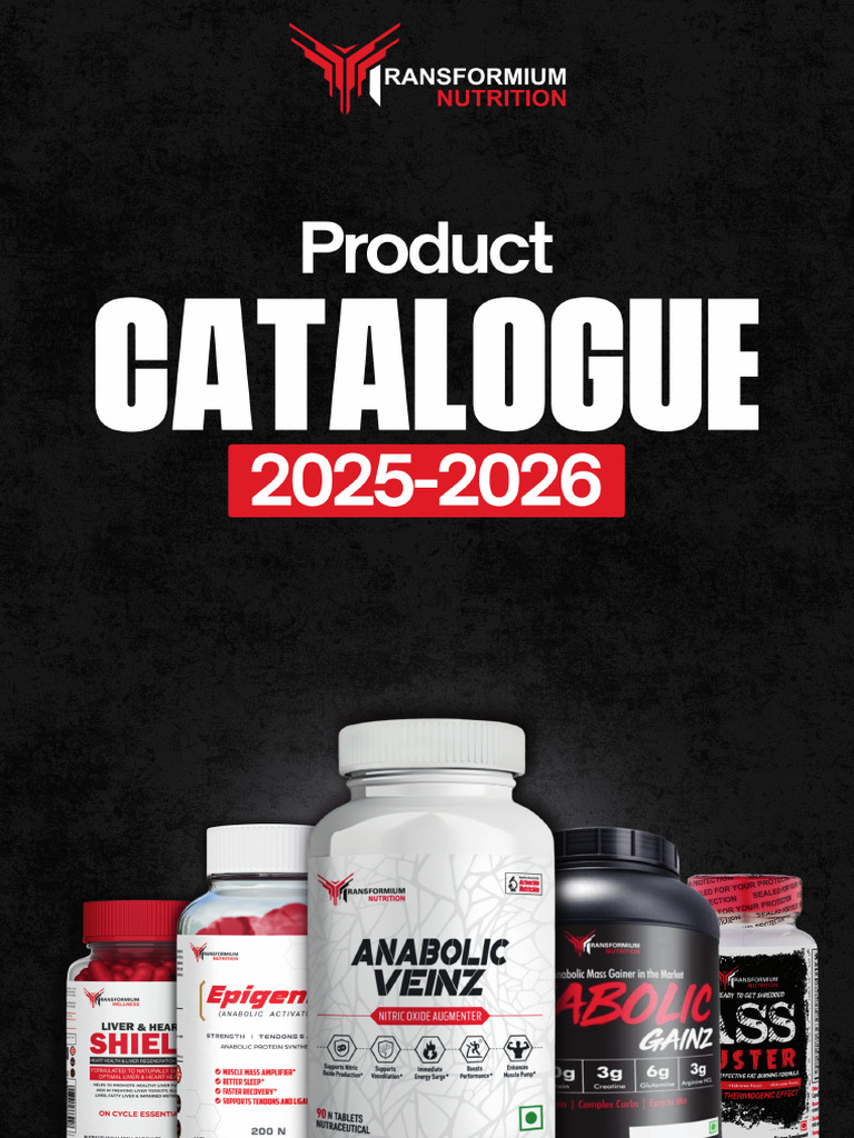 Transformium Catalogue 2 | PDF