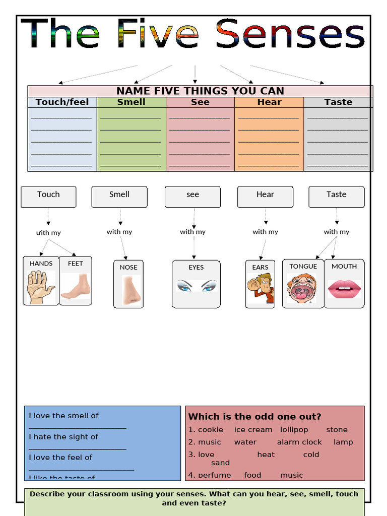 The Five Senses Fun Activities Games Icebreakers Warmers Coolers 63097 ...