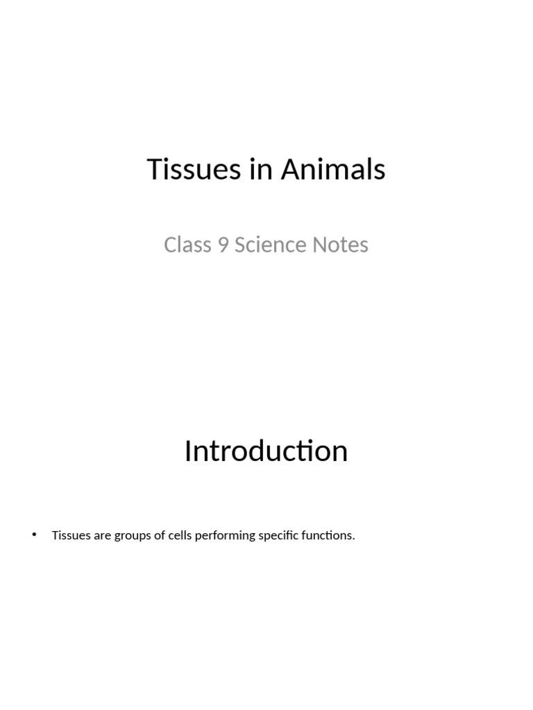 Animal Tissues Overview for Class 9 | PDF