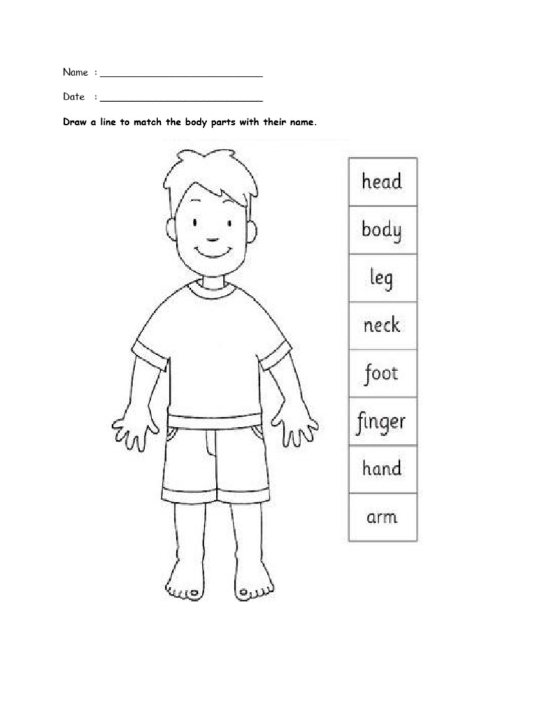 G1 ENGLISH My Body Parts Worksheet | PDF