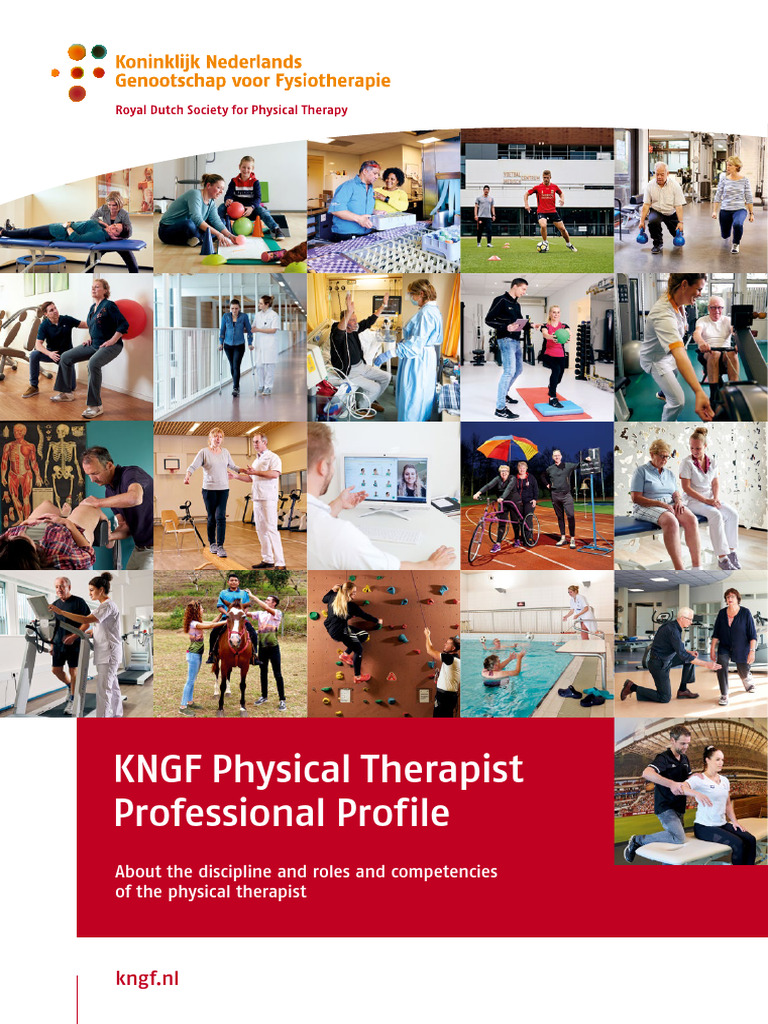 KNGF Physical Therapist Profile 2021 | PDF | Physical Therapy | Health Care