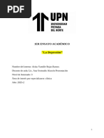 Manual Ipp-R | PDF