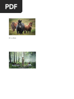 10 Examples of Picture Descriptions | PDF