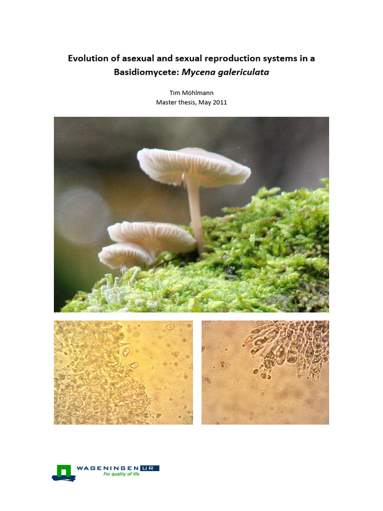 Evolution of Asexual and Sexual Reproduction Systems in A Eabm7jqfxj | PDF | Reproduction | Fungus