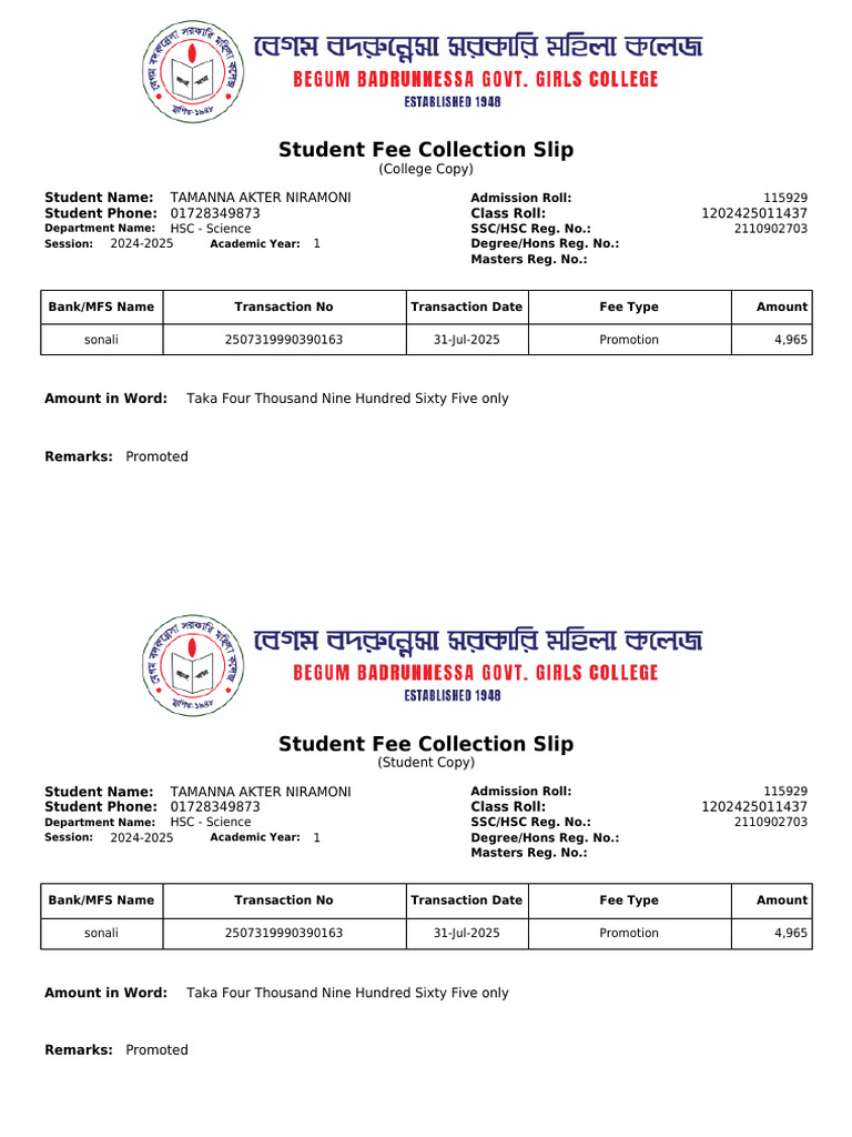 Student Fee Collection Slip 2024-2025 | PDF