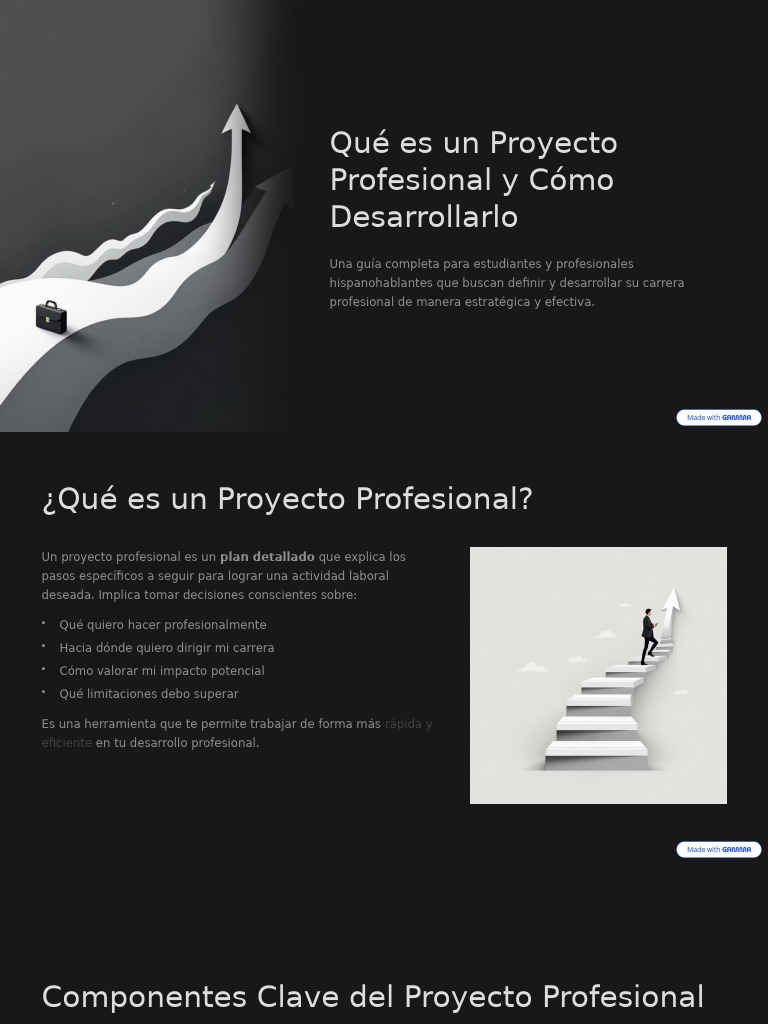 Que Es Un Proyecto Profesional y Como Desarrollarlo | PDF ...