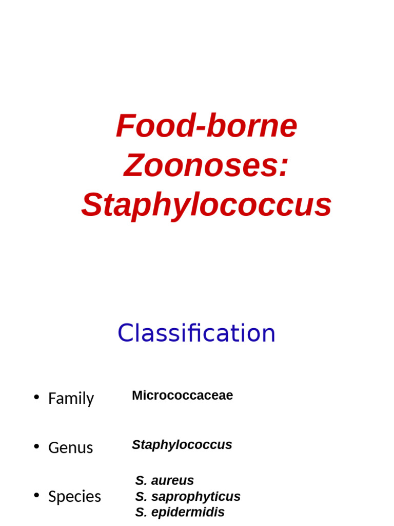 Staphylococcus Food Poisioning | PDF | Staphylococcus | Staphylococcus ...