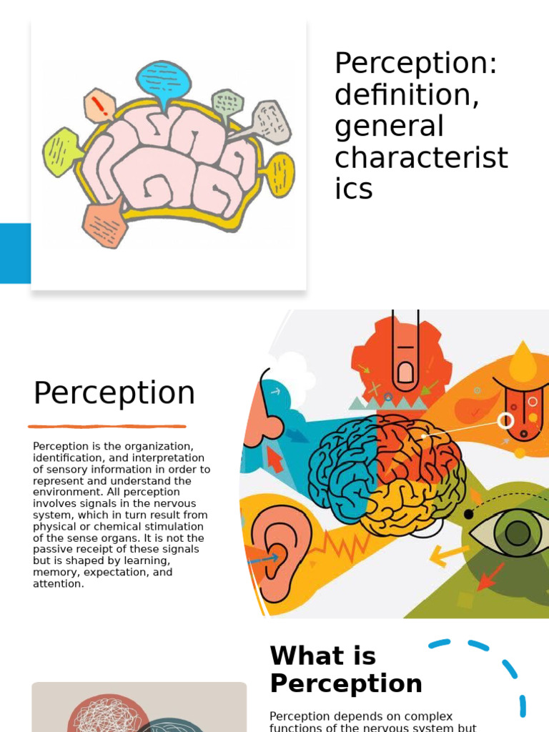Understanding Human Perception Dynamics | PDF | Perception | Senses