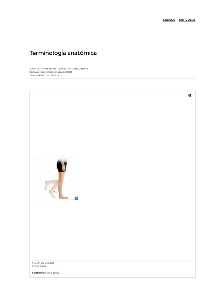 Terminologia Anatomica | PDF | Términos anatómicos de ubicación ...