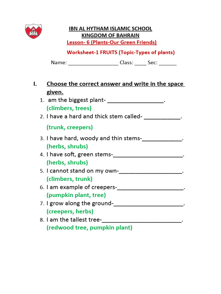 Plants Our Green Friend FRUITS 1 | PDF | Leaf | Plants