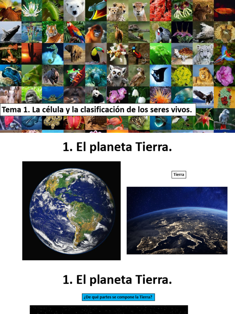 Tema 1. La Célula y La Clasificación de Los Seres Vivos. | PDF ...