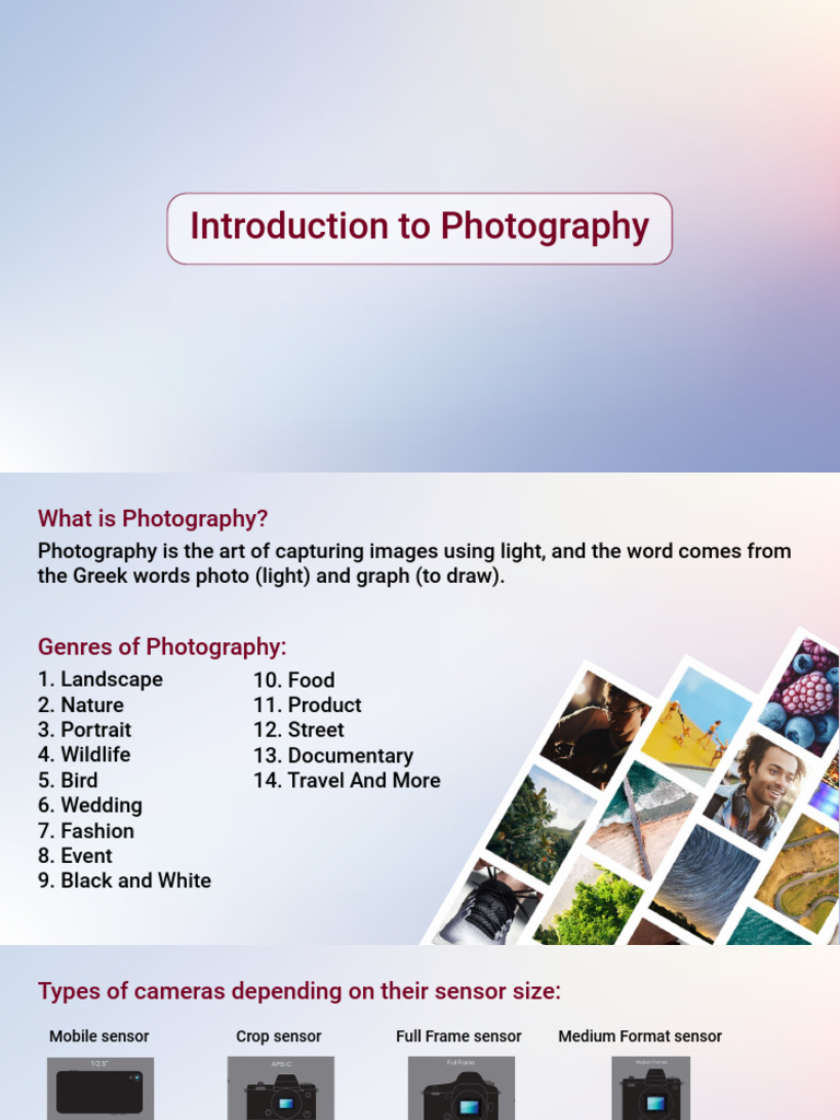 Introduction to Photography Basics | PDF