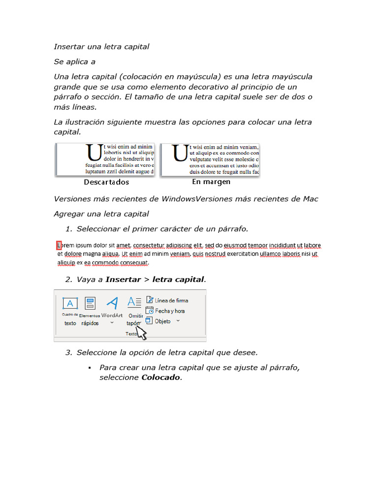 Insertar Una Letra Capital | PDF