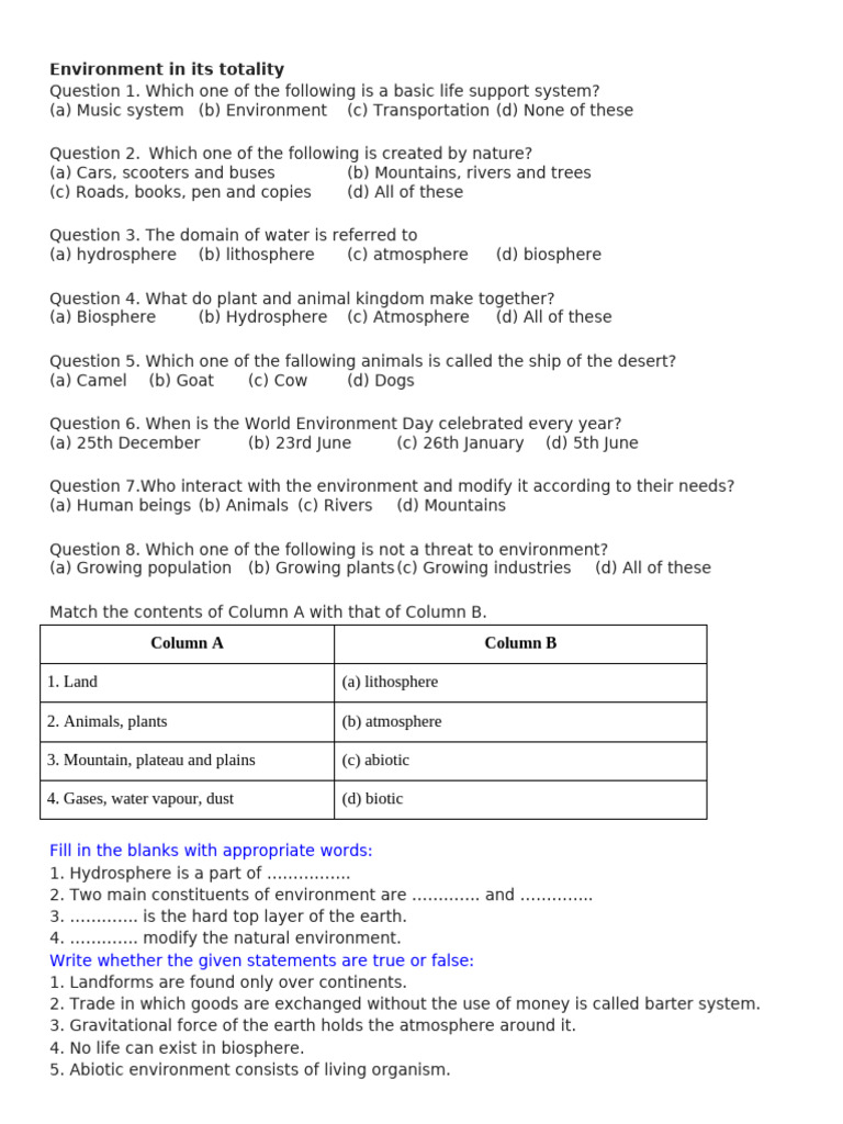 Understanding the Total Environment | PDF