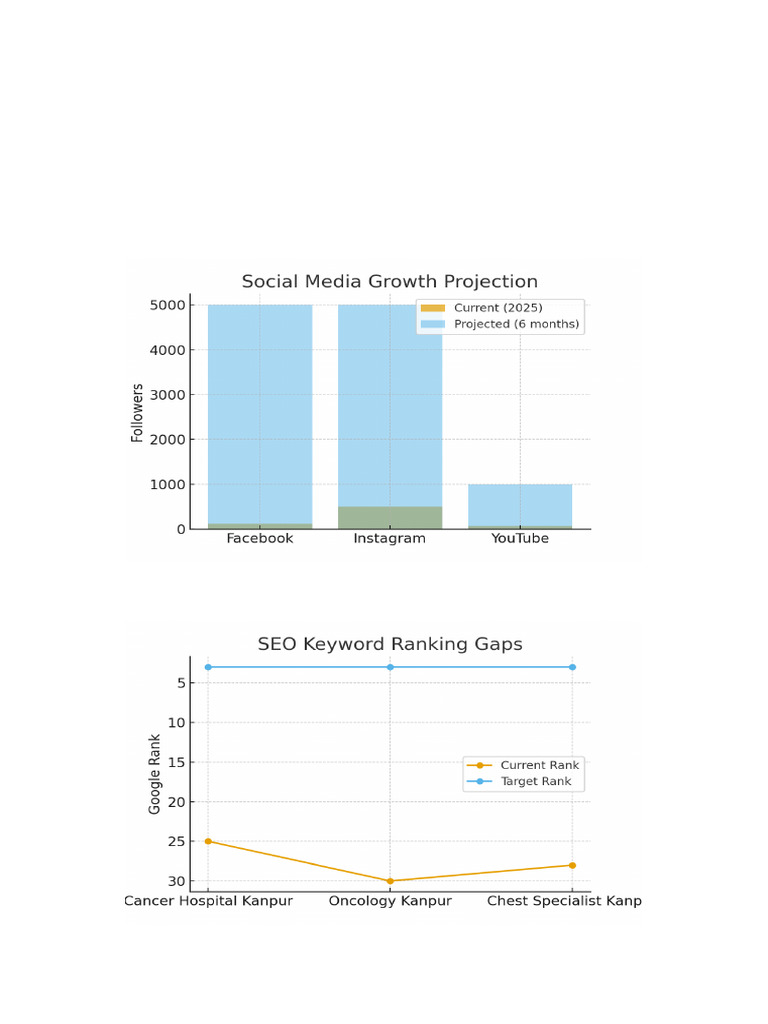 Thangam Hospital Kanpur Digital Audit 2025 With Charts | PDF