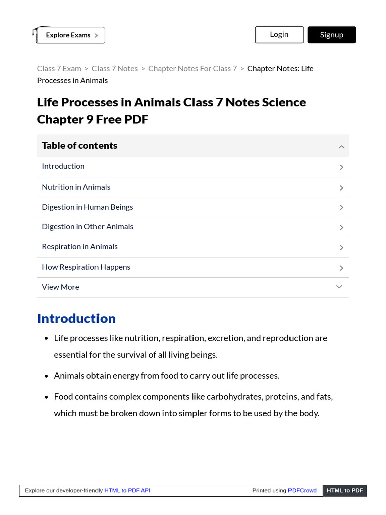 Life Processes in Animals: Class 7 Notes | PDF | Breathing ...
