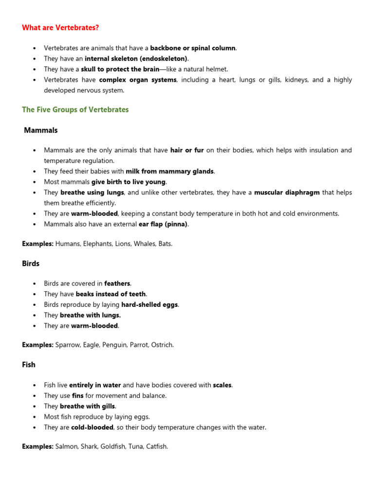 Vertebrates Invertebrates | PDF | Leaf | Reptile