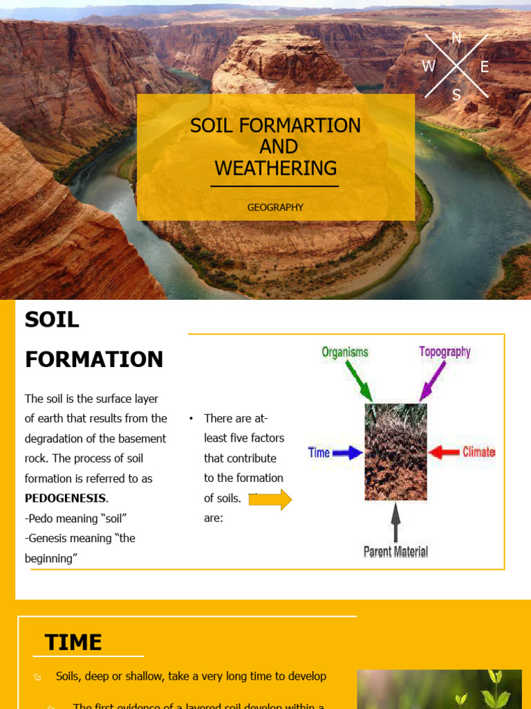 Soil Formartion and Weathering | PDF | Weathering | Soil