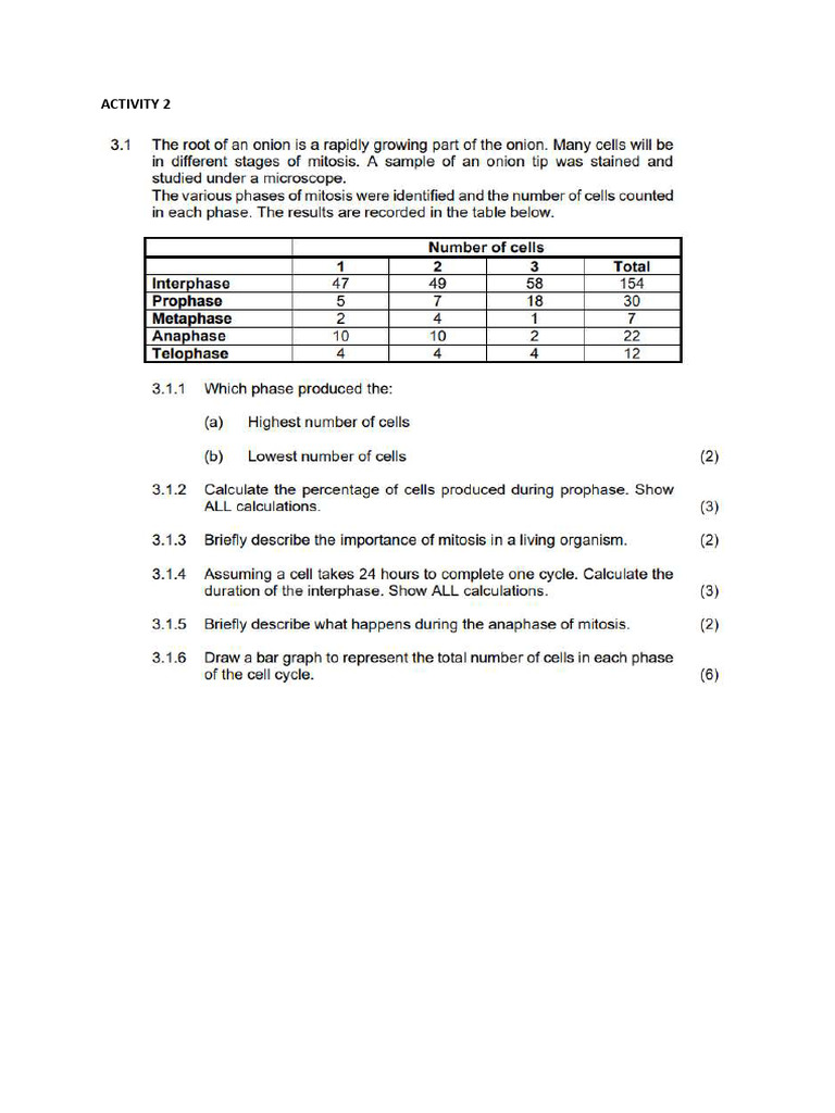 Activity Revision Term 2 | PDF