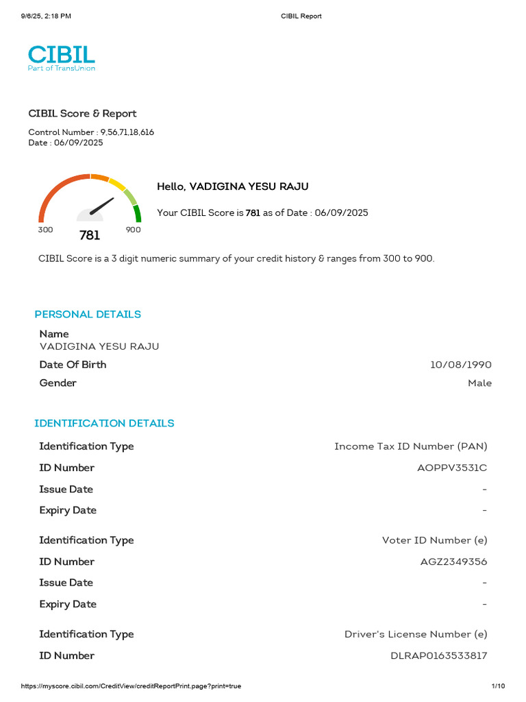 CIBIL Credit Report Summary for 2025 | PDF | Credit | Finance & Money ...