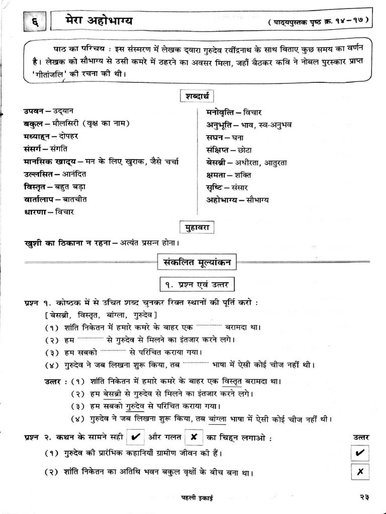6th Hindi Lesson 6 | PDF