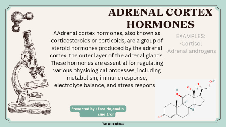Adrenal Cortex Hormones Overview | PDF