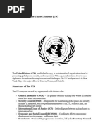 Four Pillars of the United Nations | PDF | Peacekeeping | Human Rights