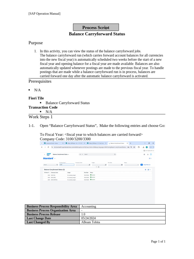 Balance Carryforward Status Guide | PDF