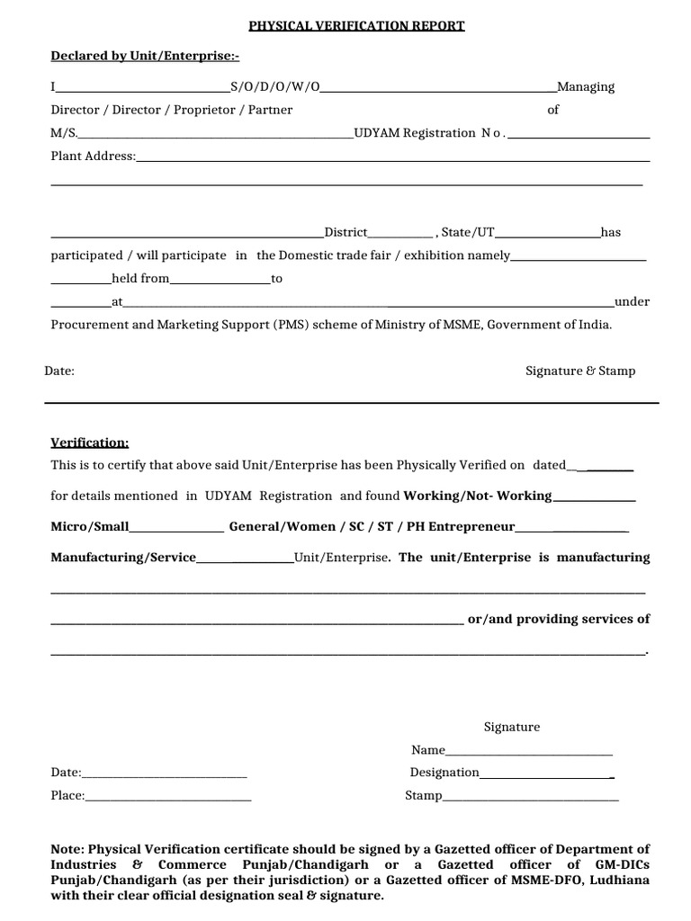 Physical Verification Report Format | PDF