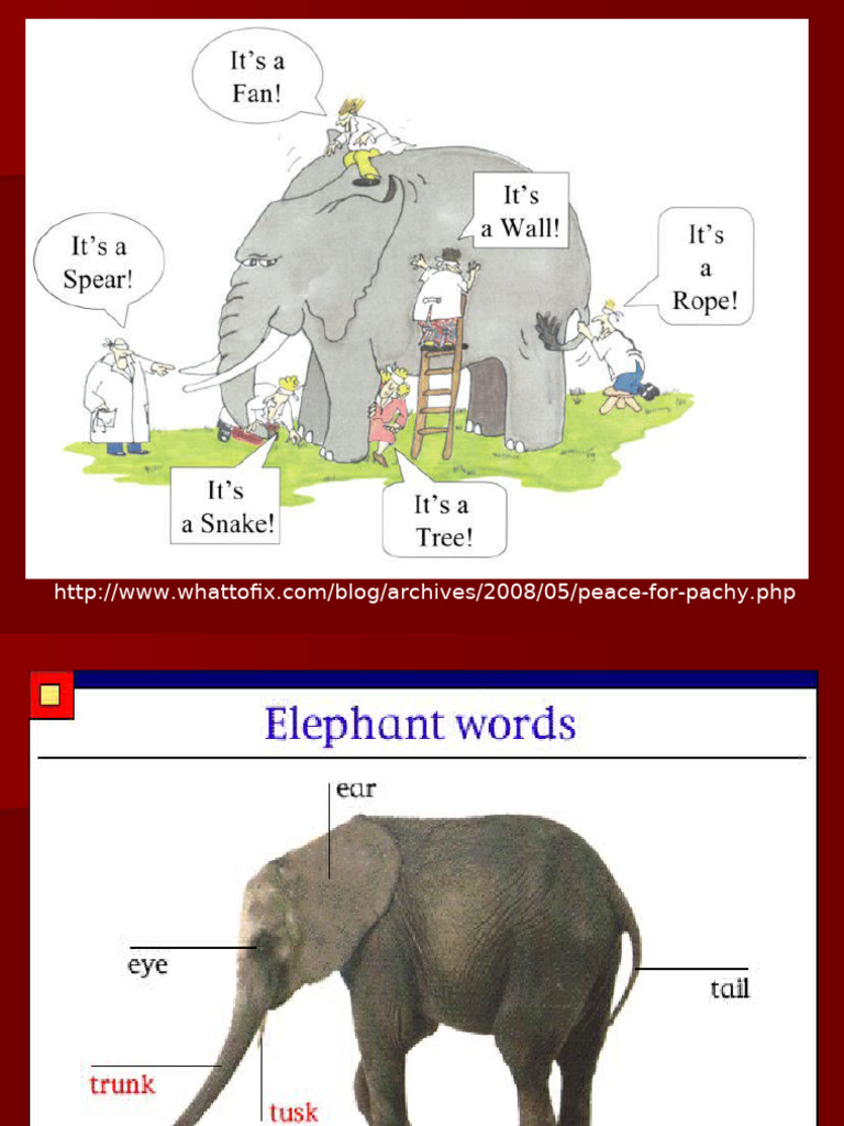 Elephants: Behavior and Group Dynamics | PDF | Elephant | Biology