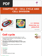 Biology Chapter 10 Cell Cycle and Cell Division Class 11 Notes PDF ...
