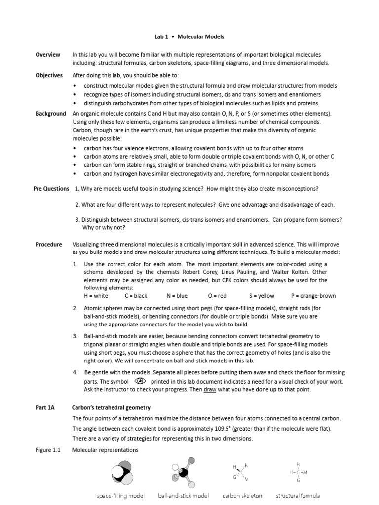 Did F Copy of Lab 1 Molecular Models | PDF | Carbohydrates | Glucose