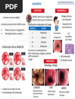 Clasificacion de Los Angeles de Esofagitis PDF | PDF ...