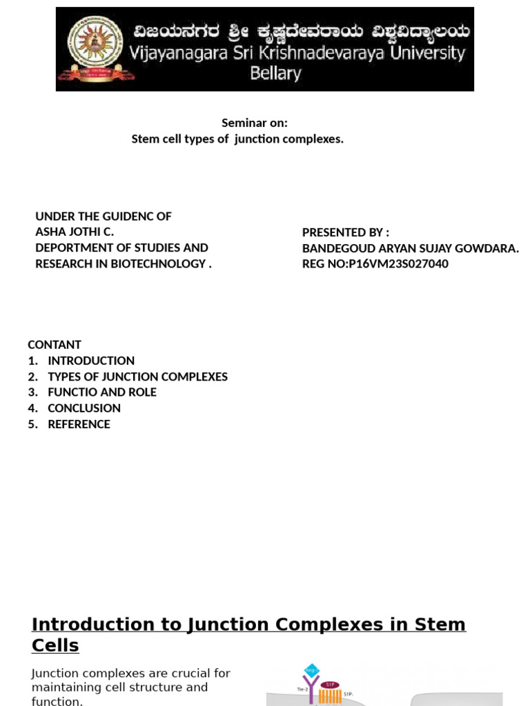 Stem Cell Types of Junction Complexes. | PDF | Stem Cell | Cell Adhesion