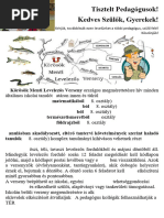 Kosáry Domokos Történelemverseny Versenykiírás 2025-26-2 | PDF