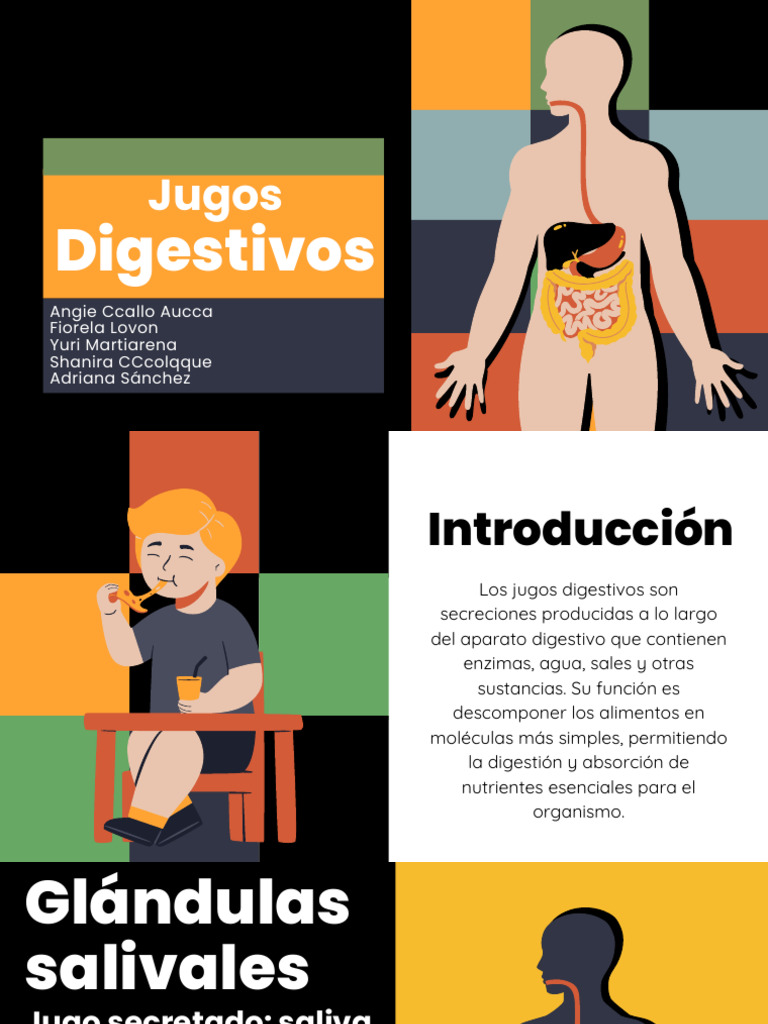 Digestivo 20250910 084202 0000 | PDF | Digestión | Bilis