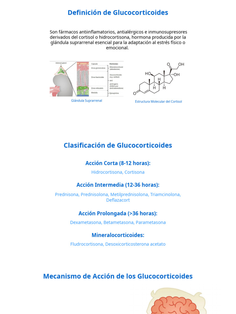 Glucocorticoides: Usos y Efectos Adversos | PDF | Glucocorticoides ...