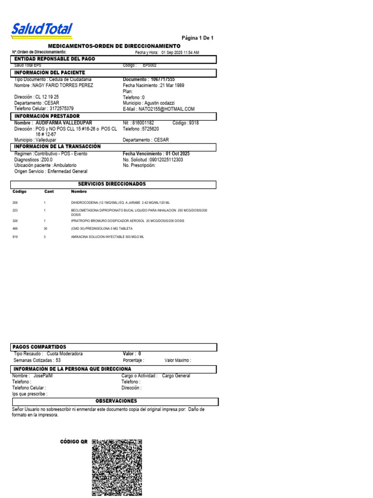 direccionamiento_2025-09-07T180008.042 | PDF