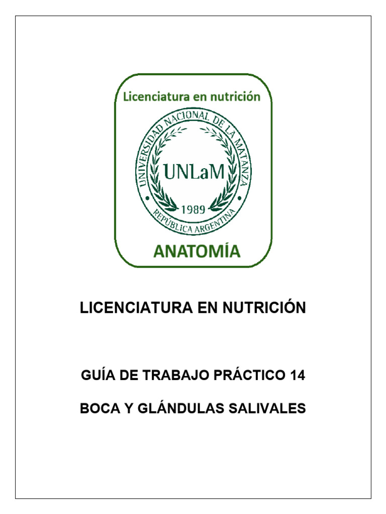 TP14---Boca---Masticacion---Glandulas-salivales | PDF | Anatomía humana ...