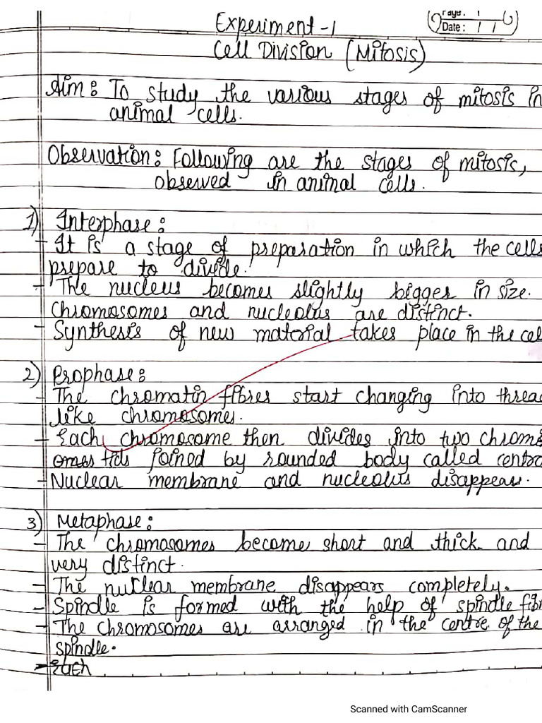 X Biology Exp No - 1 | PDF