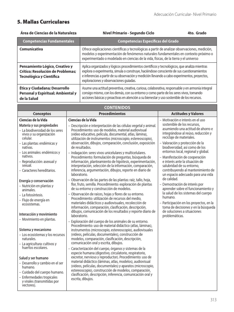 Ciencias Naturales 4to | PDF | Ligero | Observación