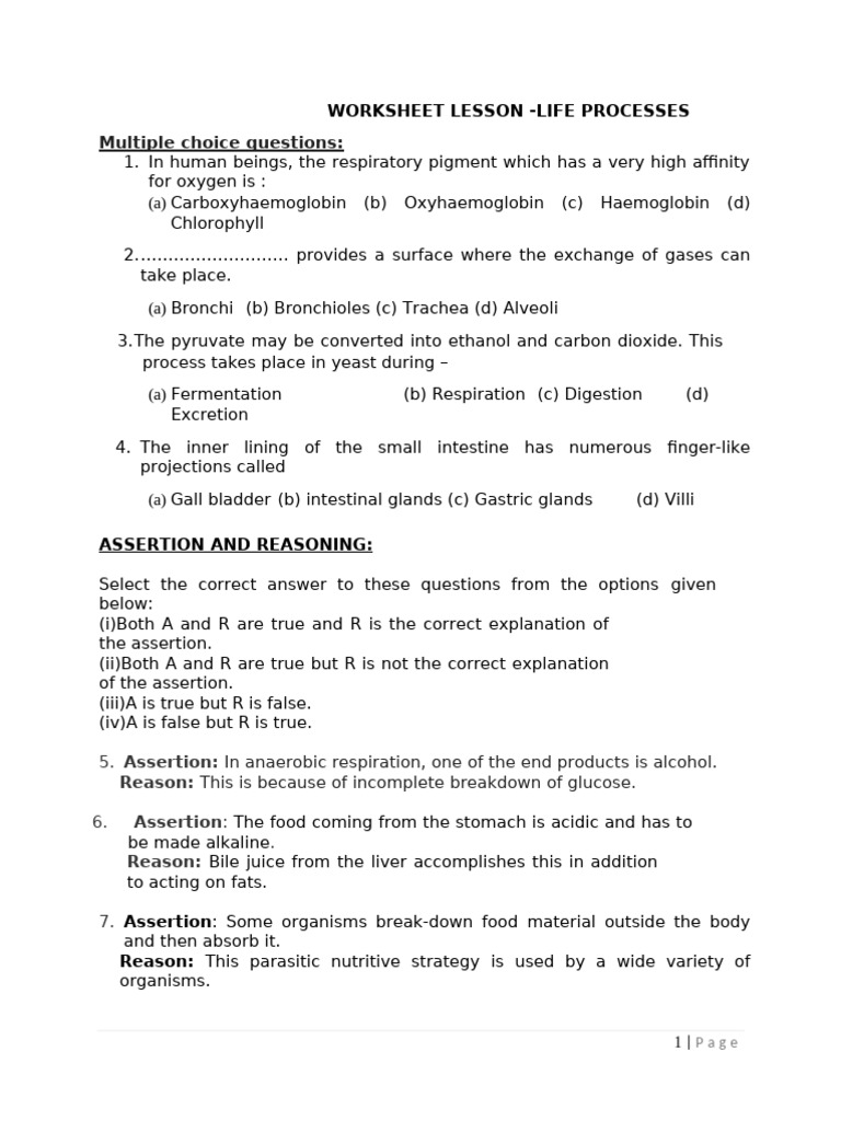 Life Processes Worksheet: Questions & Answers | PDF | Vacuole ...
