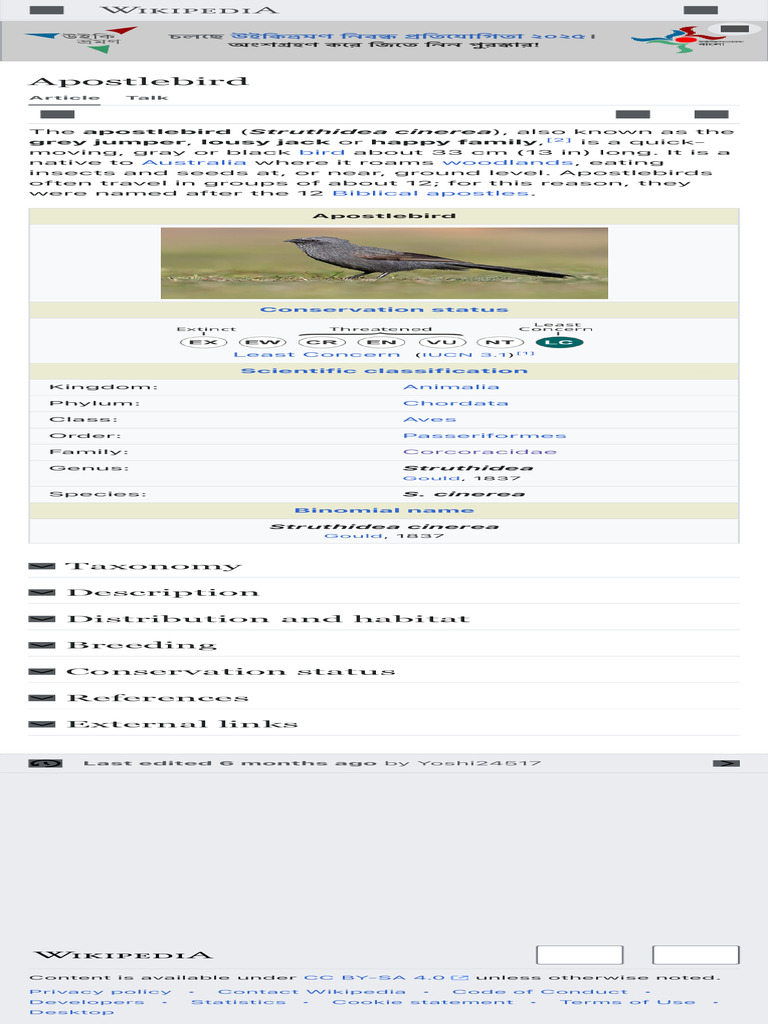 Apostlebird - Wikipedia | PDF