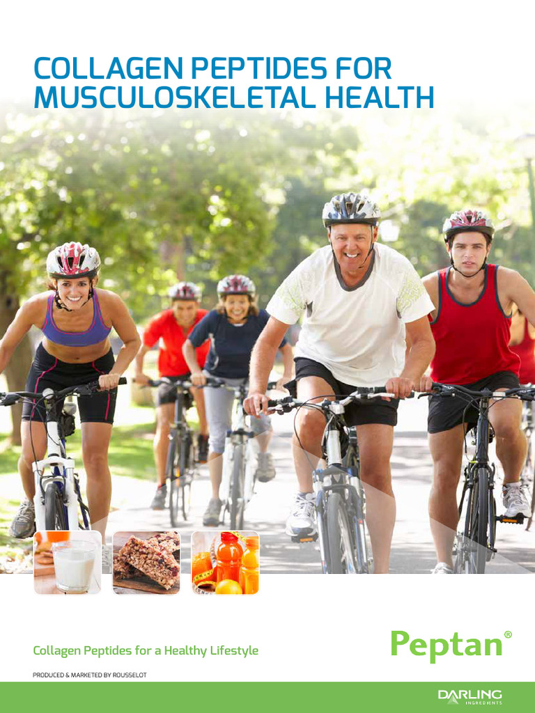 Peptan Musculoskeletal Health Brochure | PDF | Human Musculoskeletal ...